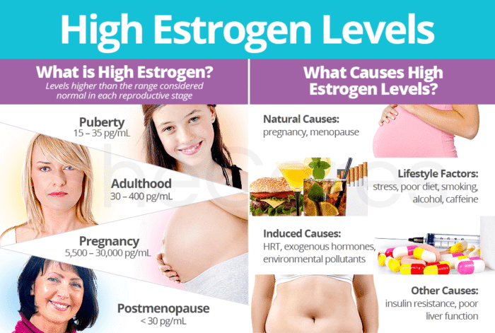 High Estrogen Levels in Females: Signs, Causes, and Treatment - Health ...
